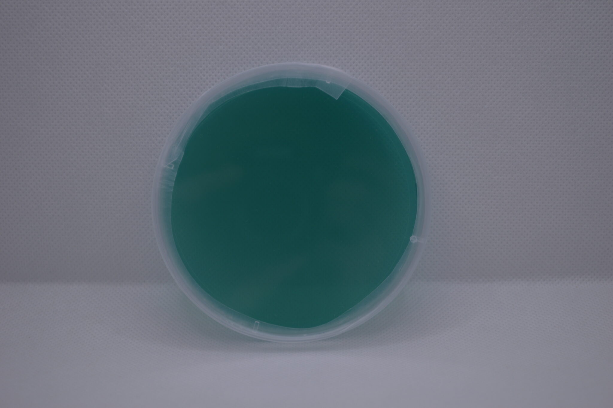 Grain Soak Agar (GSA) Plates - Sterile, Pre-Poured | Easy Shroom